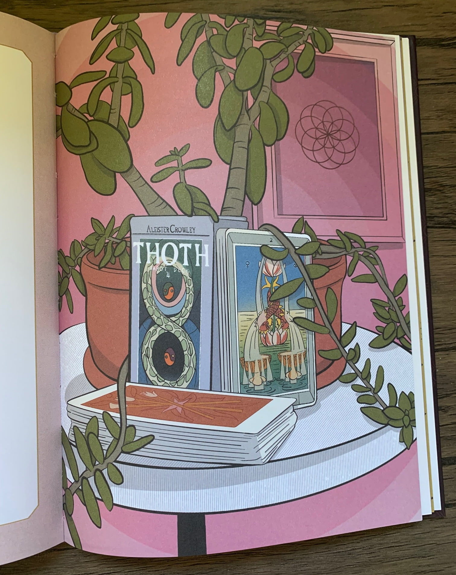 A Review of Women of Tarot: An Illustrated History of Divinators, Card ...