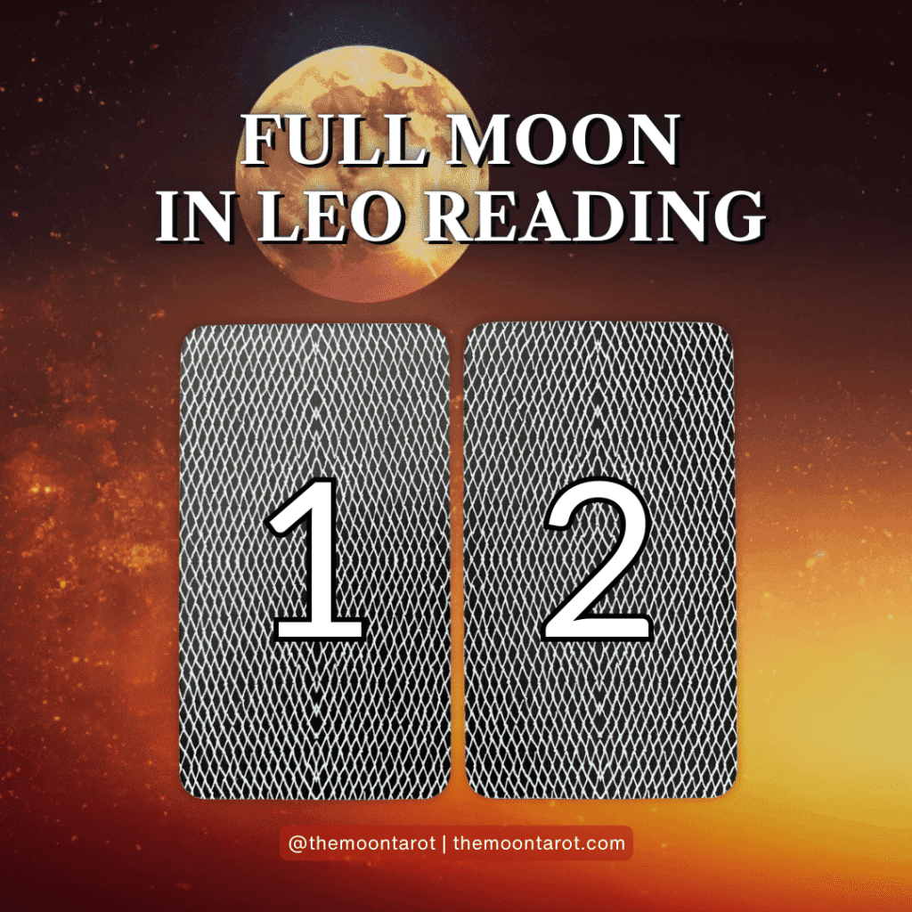 Full Moon in Leo Reading | February 2026 | The Moon Tarot