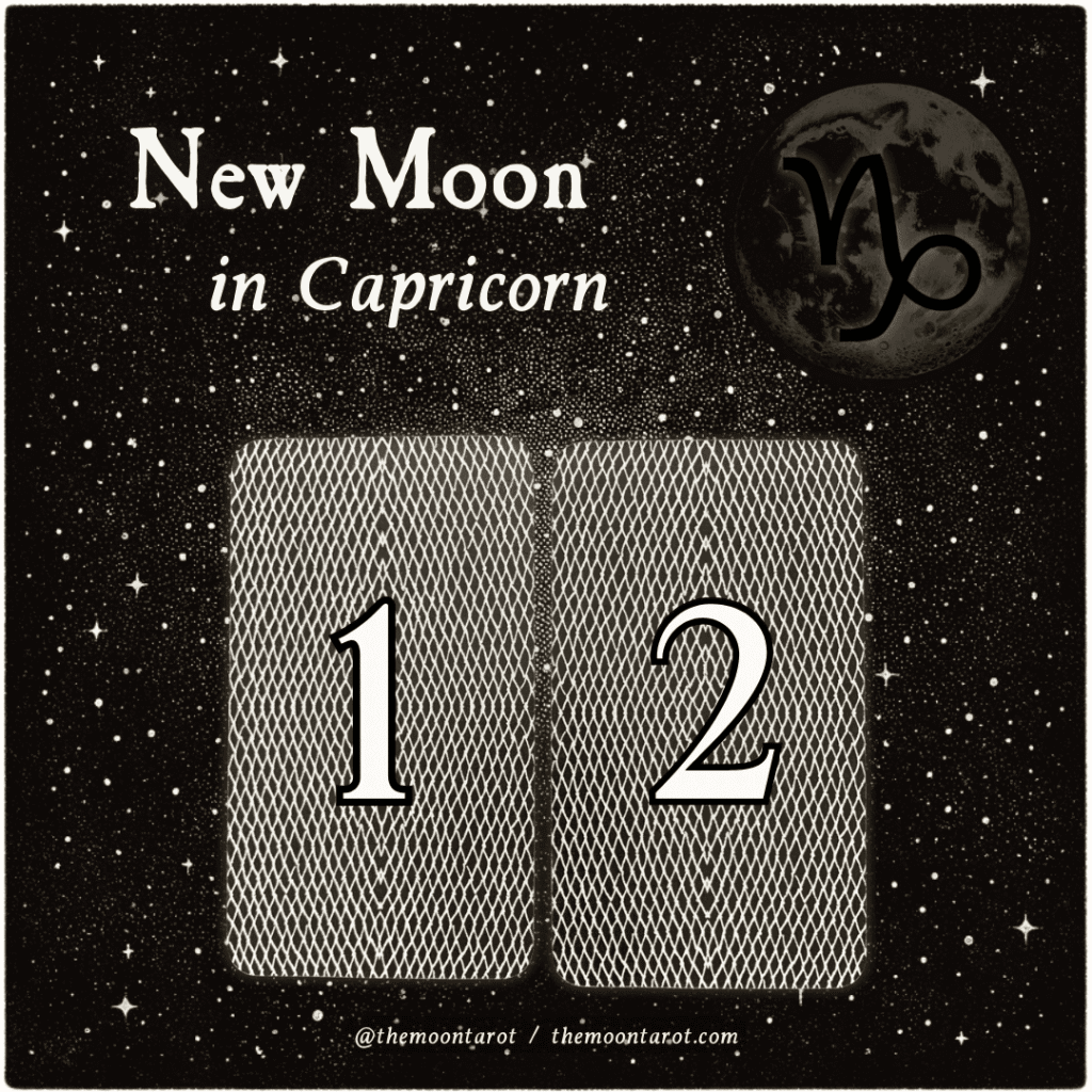 New Moon in Capricorn Reading | January 2026 | The Moon Tarot